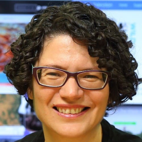 Tanya Berger-Wolf - AI for Good