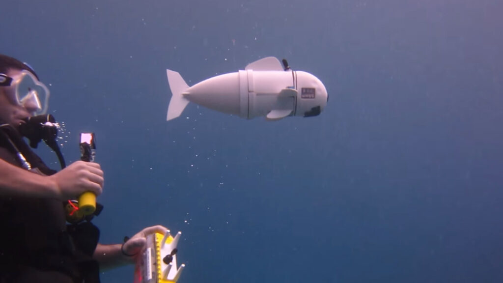 Biologically-inspired soft robots for environmental sustainability - AI ...