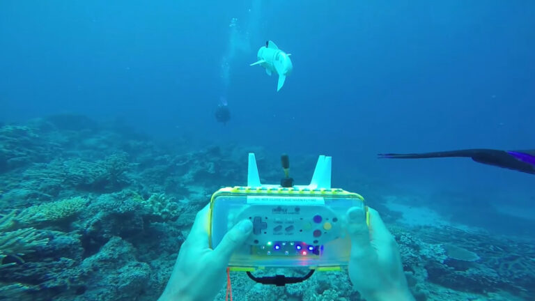 Biologically-inspired soft robots for environmental sustainability - AI ...