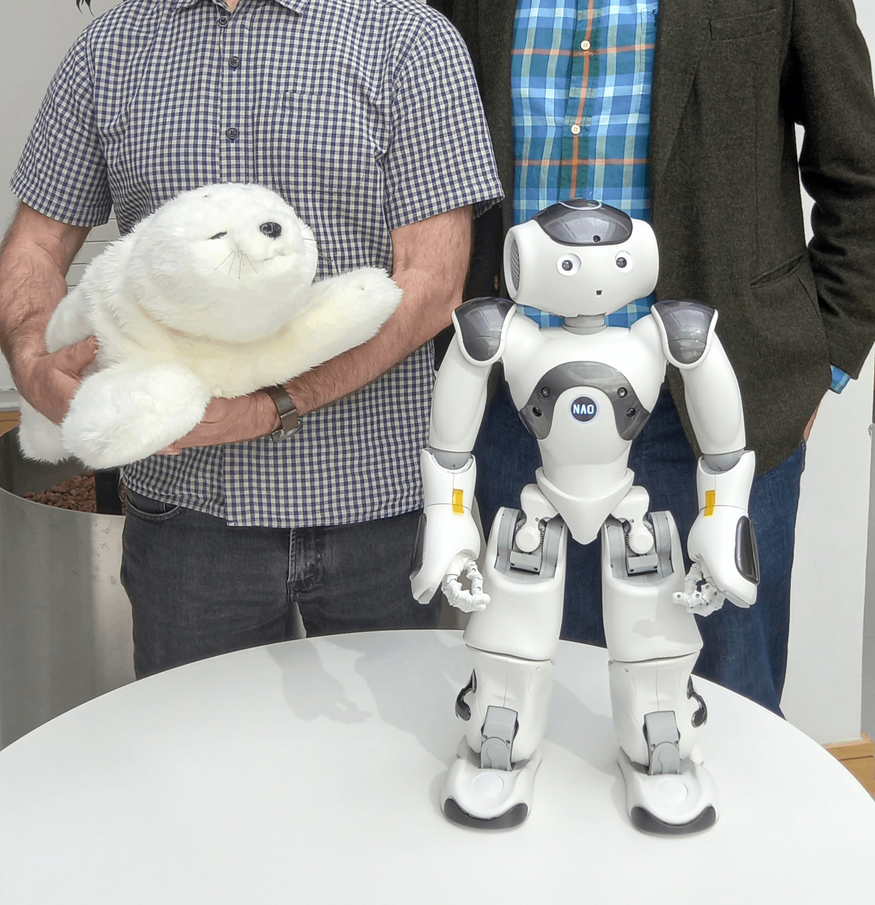 Social Robotics for the Social Professions - AI for Good