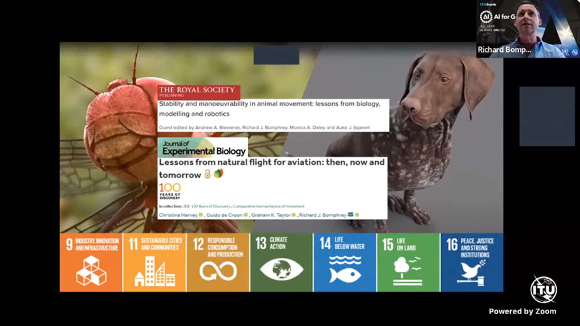 Inspired by nature: harnessing animal locomotion for robotic innovation ...