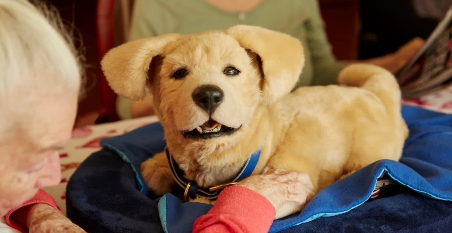 Cognitively assistive robots for dementia care - AI for Good