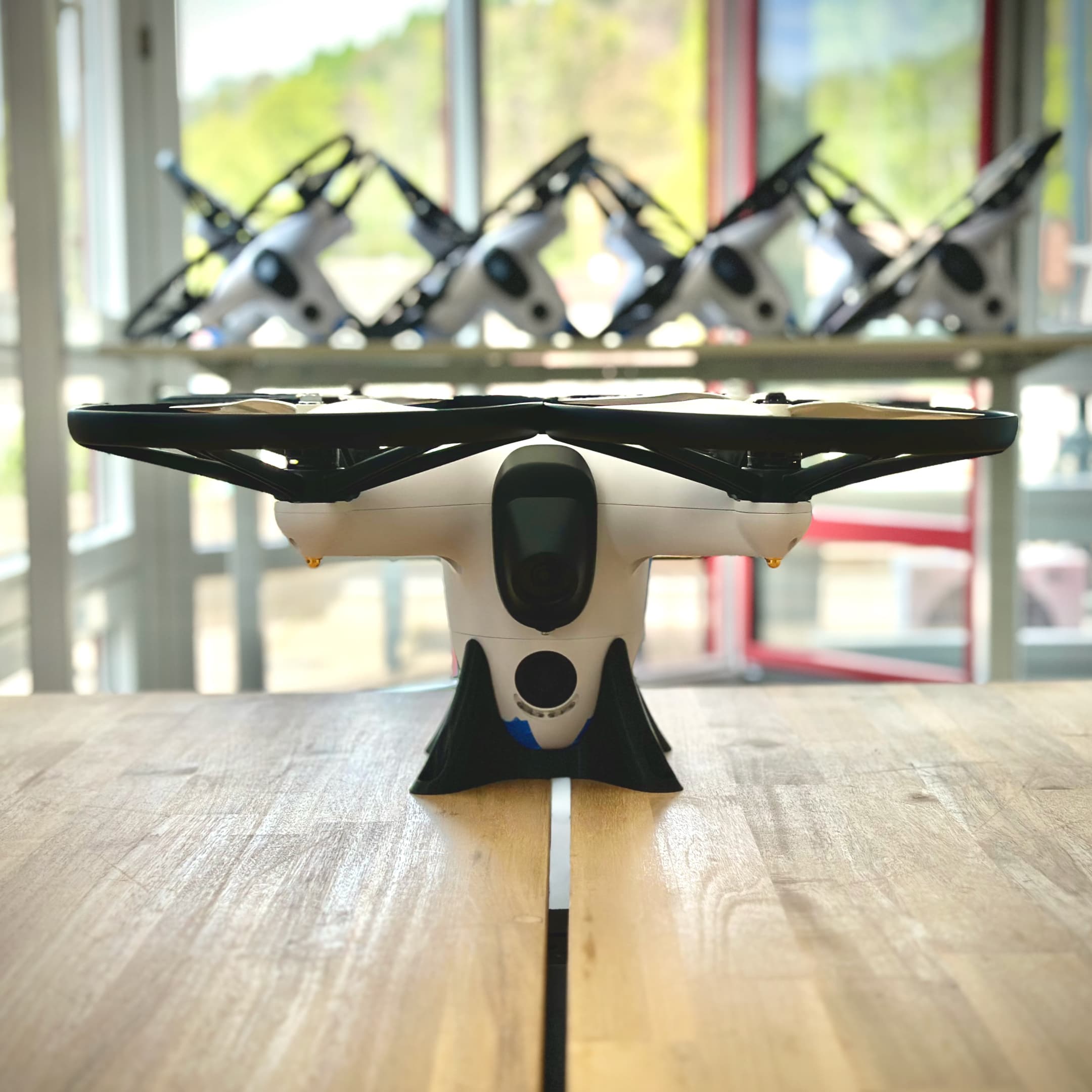 Sunflower Beehive System - AI for Good