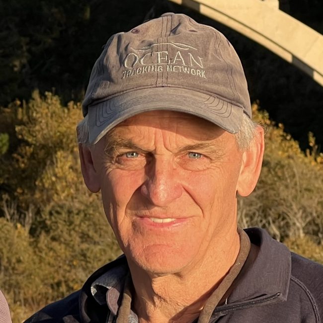 Robots for ocean conservation: Combating pollution and preserving ...